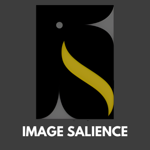 Image Salience
